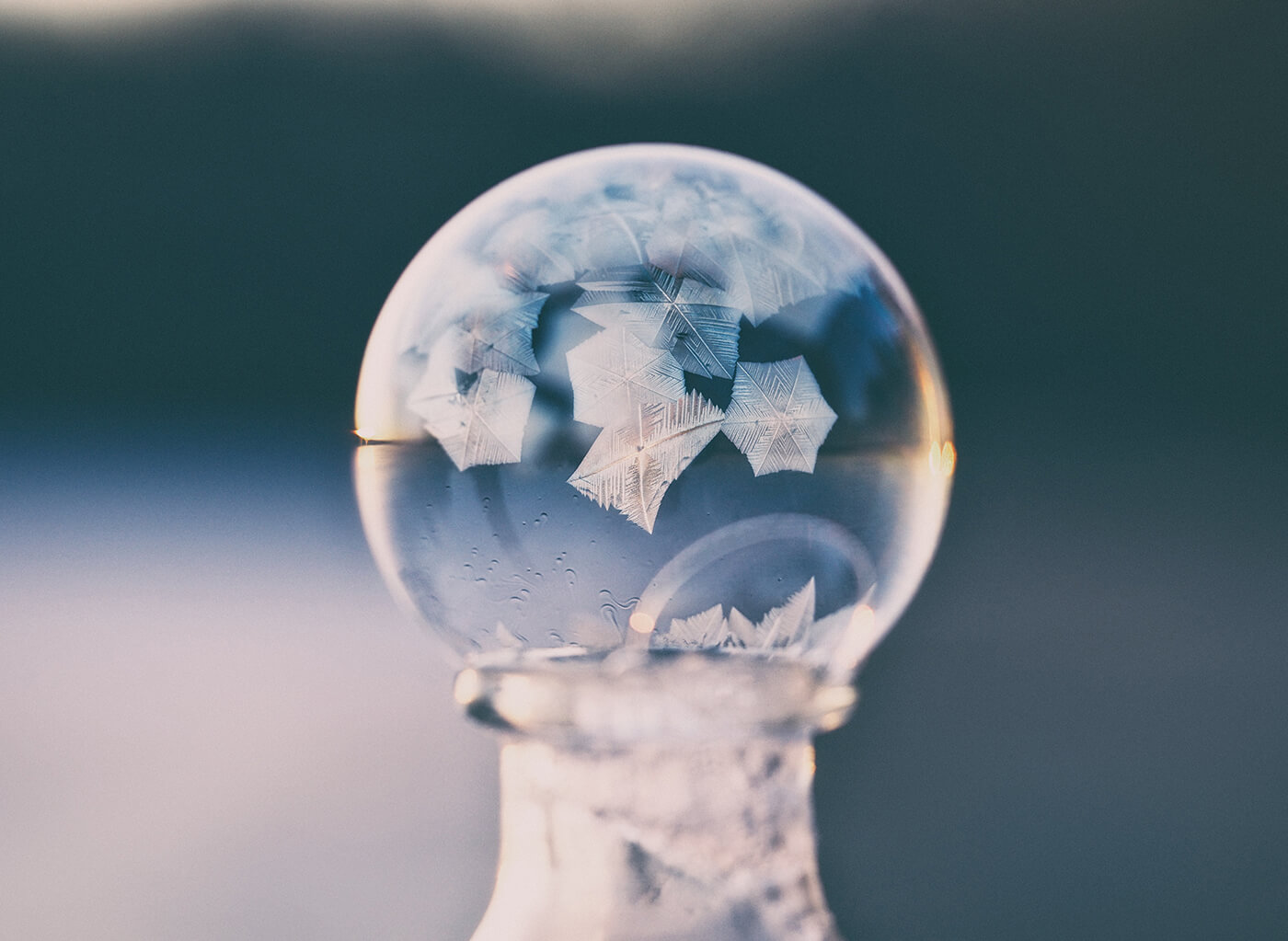 Calligraphy - Frame Fusion Limited